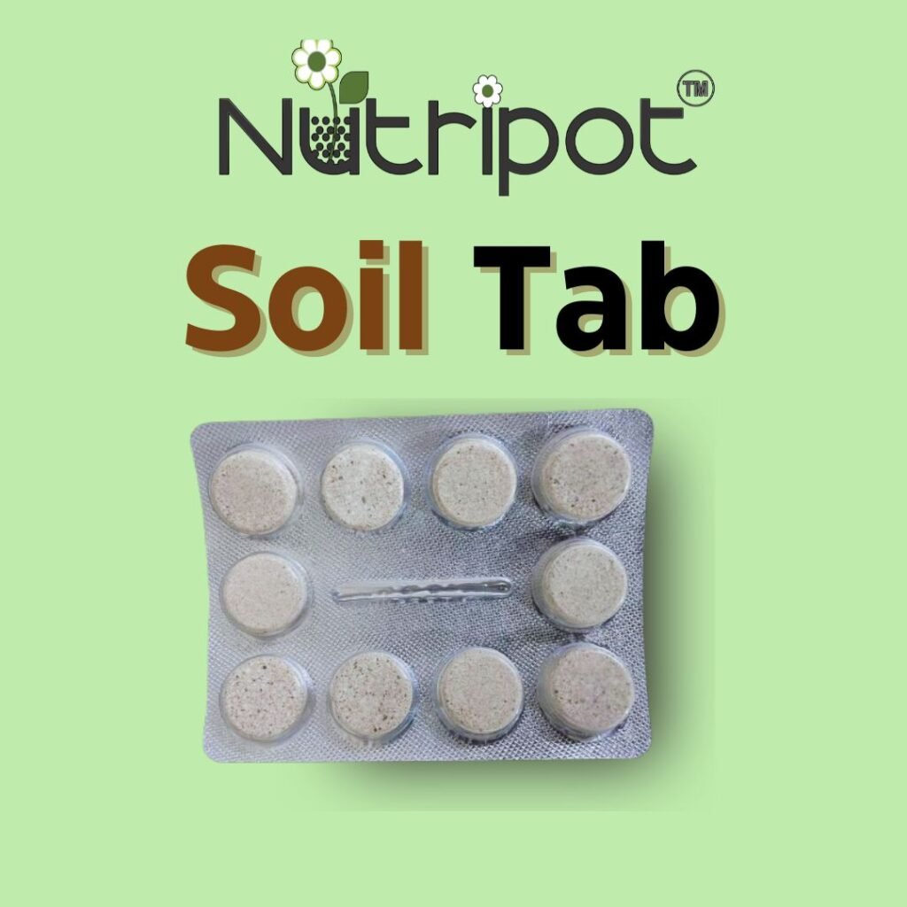Nutripot Soil Tab (2Gm X10 Tablets / Strip) - A2Z Garden